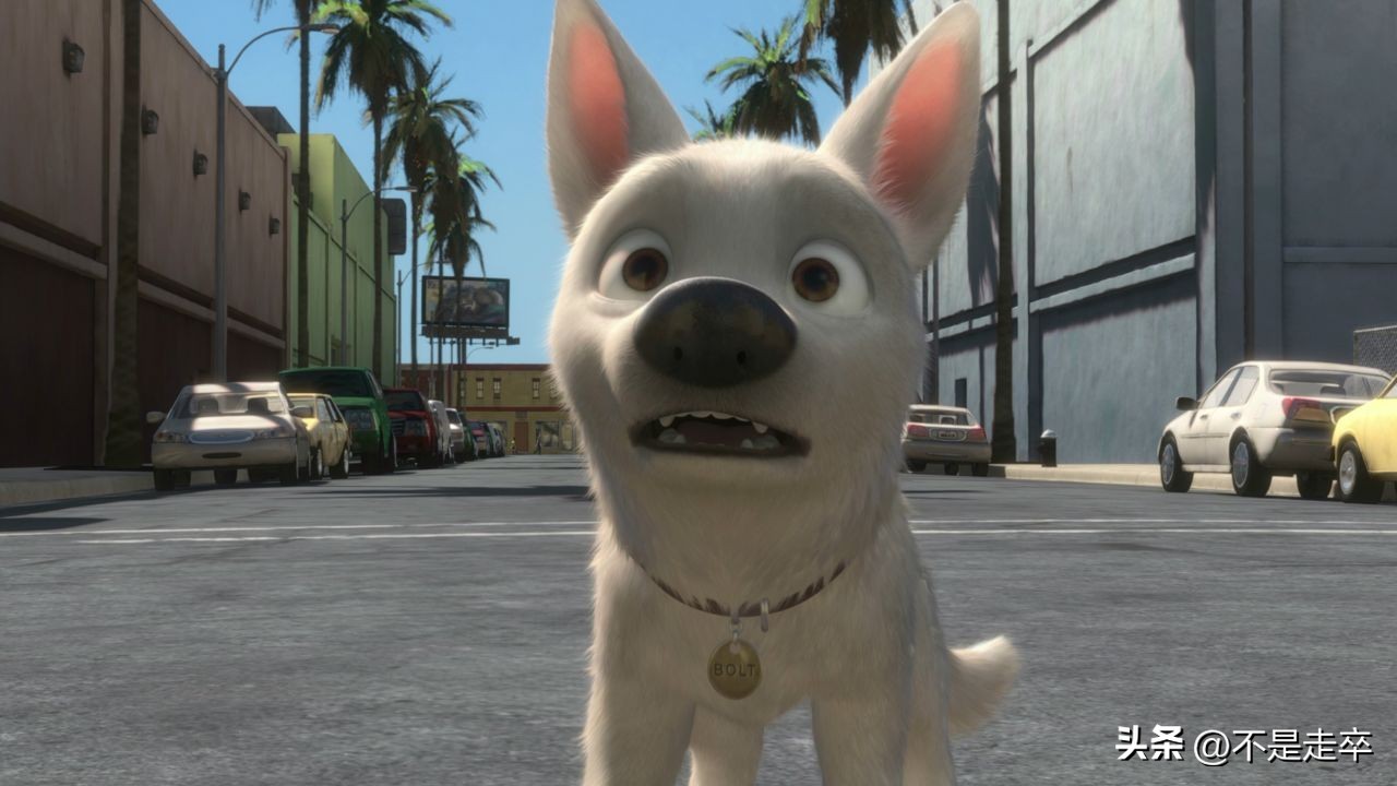 Appreciation of the movie "Lightning Dog": social and cultural ...