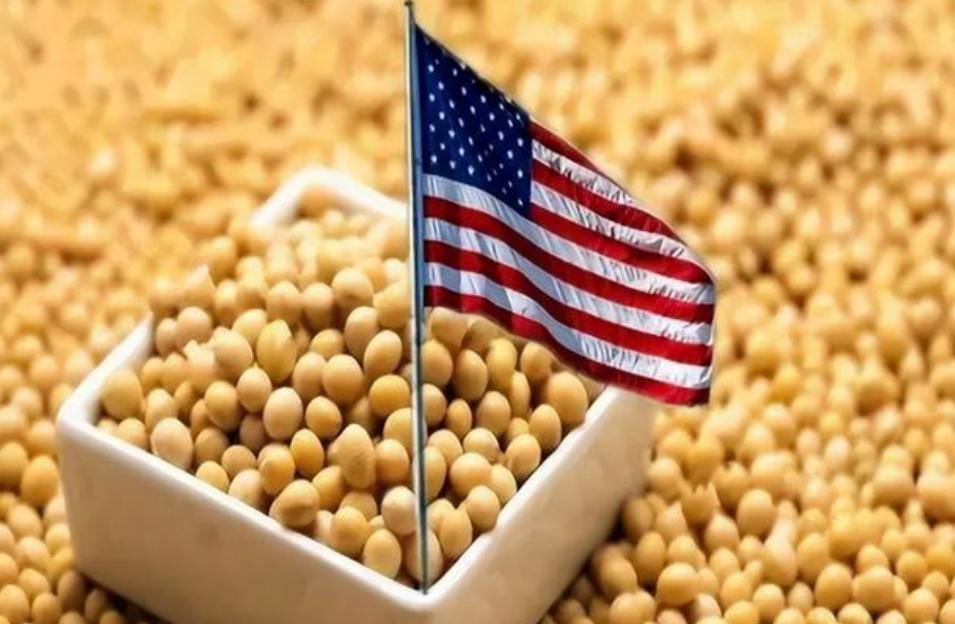 Why is China throwing out hundreds of billions of U.S. debt and buying U.S. soybeans on a large ...