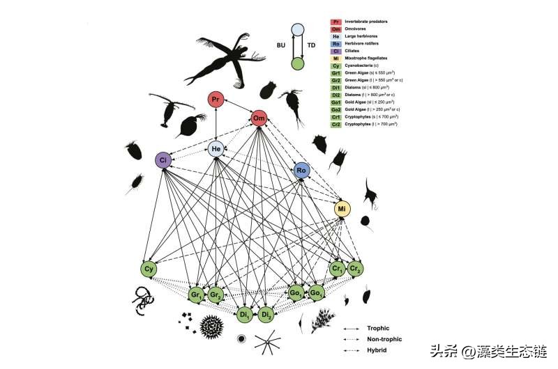 Climate change and nutrient fluctuations disrupt lake networks - iNEWS