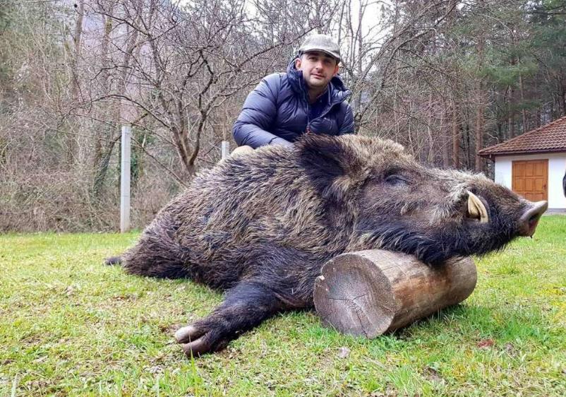 Canada has bred a super boar! Damn America! Spreading like cancer can't ...