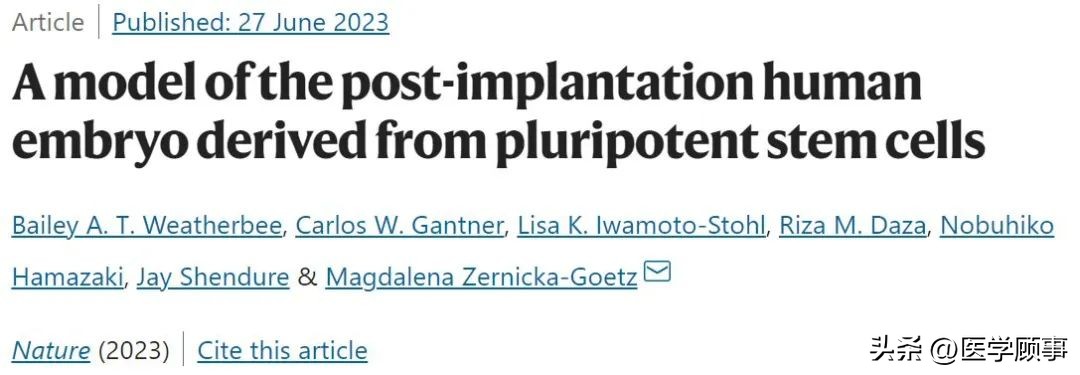"Nature": A milestone in artificial embryos! "Total Synthesis" of Human ...