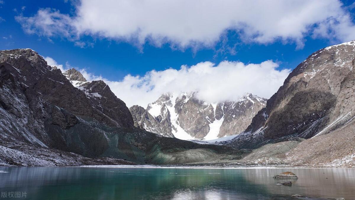 Snow Lotus of Tianshan Mountains: The Mysterious Flower in the World of ...