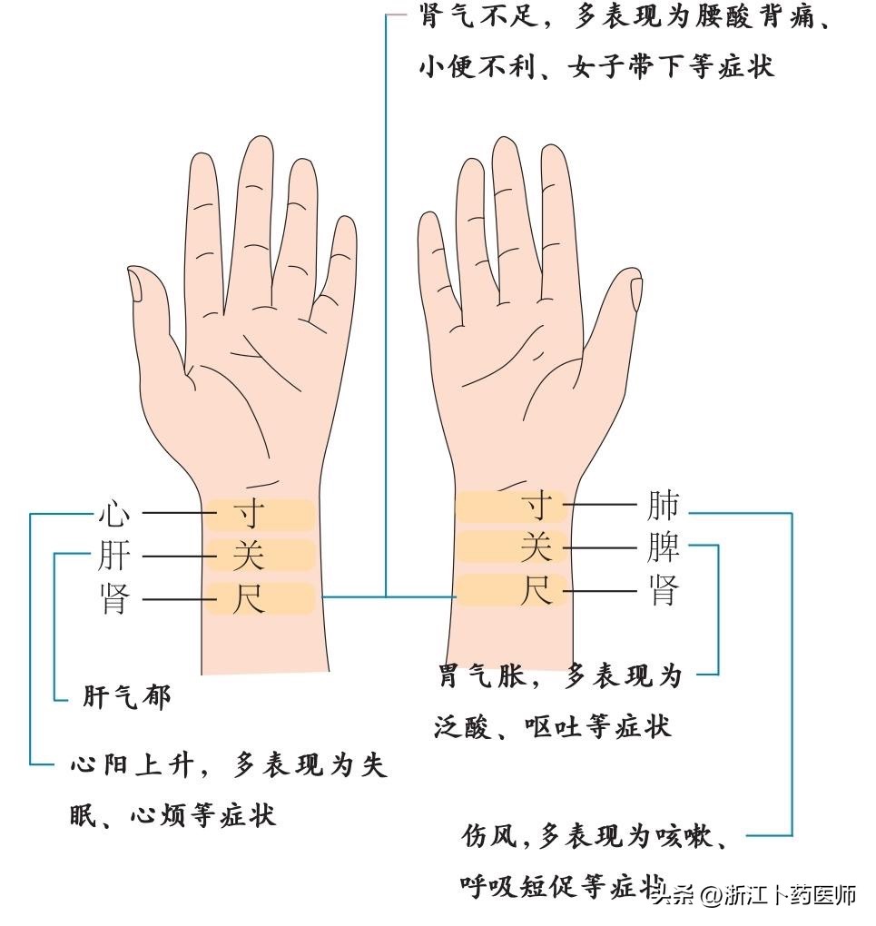 Insufficiency of kidney qi - pulse: left and right chi pulse floating ...