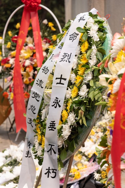 The Last Shot: The Legendary Magnificence of the Anti-Japanese War Hero ...