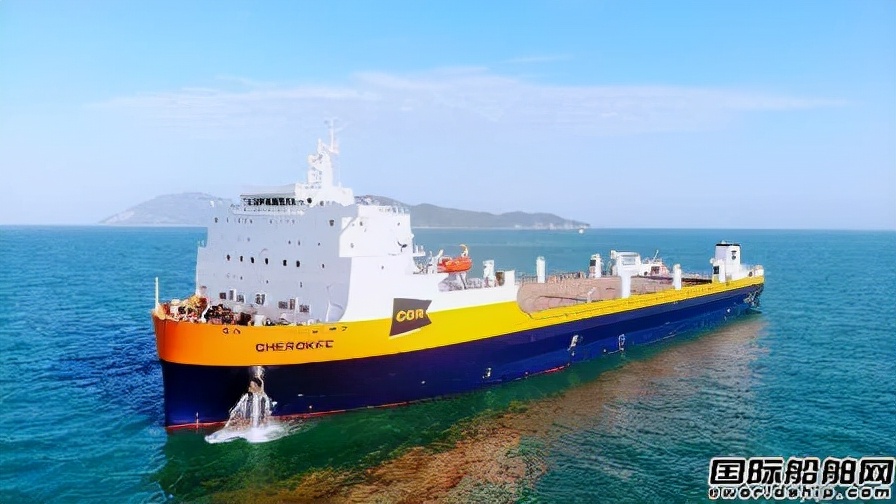 International Ship Net: Inventory of the 10 most distinctive ships ...