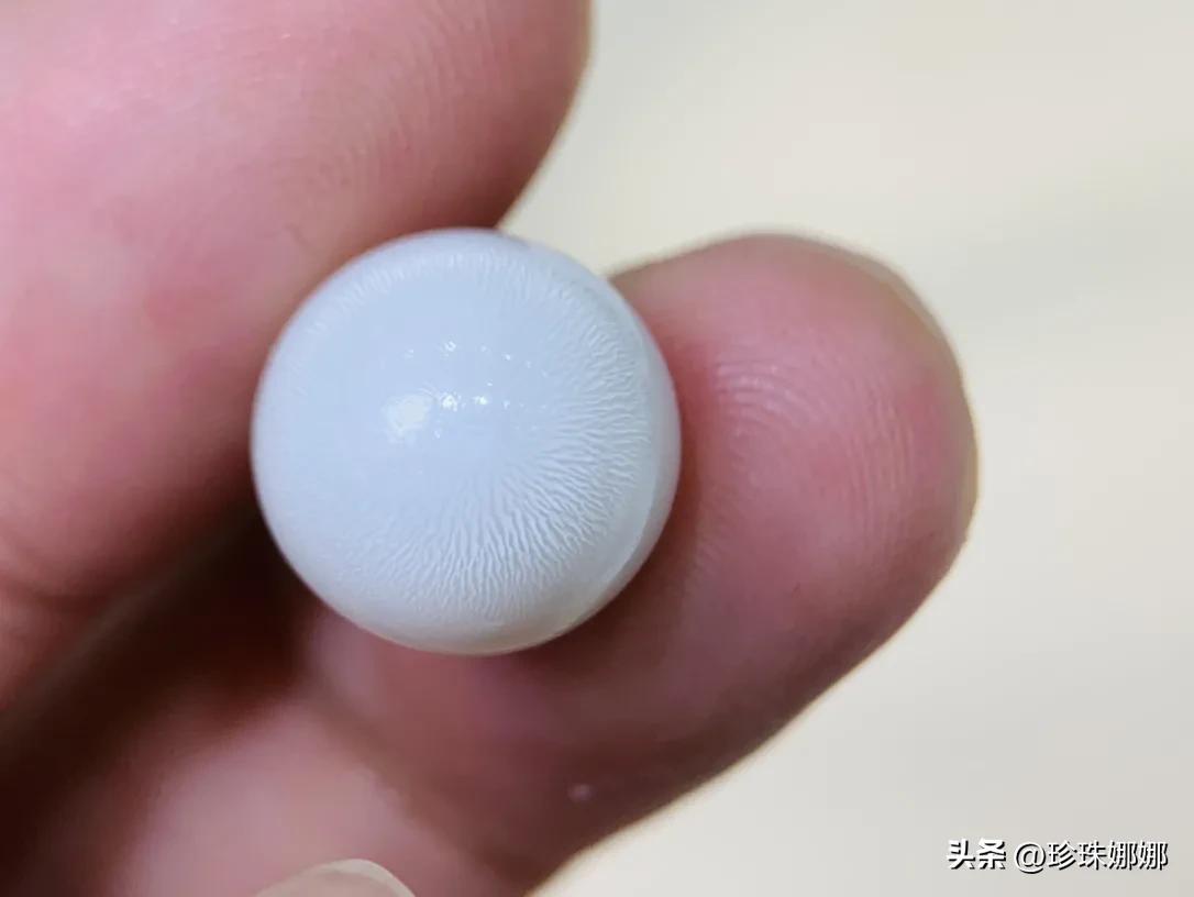 11ct conch beads - iNEWS