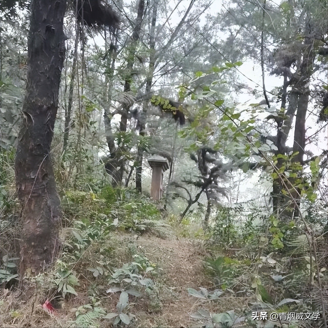 Ghost Gate Pass—Experience China's Famous Pass - iNEWS