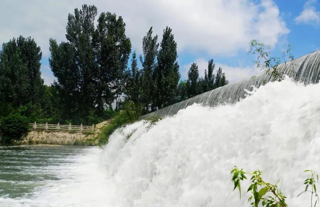 Holiday Tour Shanting Colorful Flowers Slow City - iNEWS