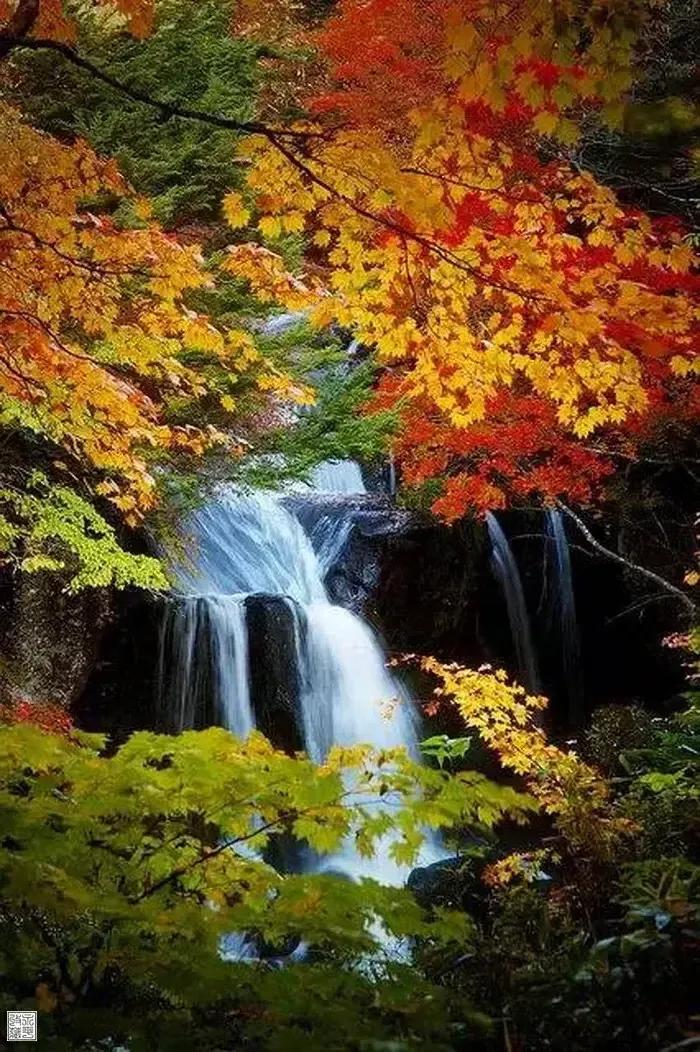 《正如當初第一次見你》 - 資訊咖