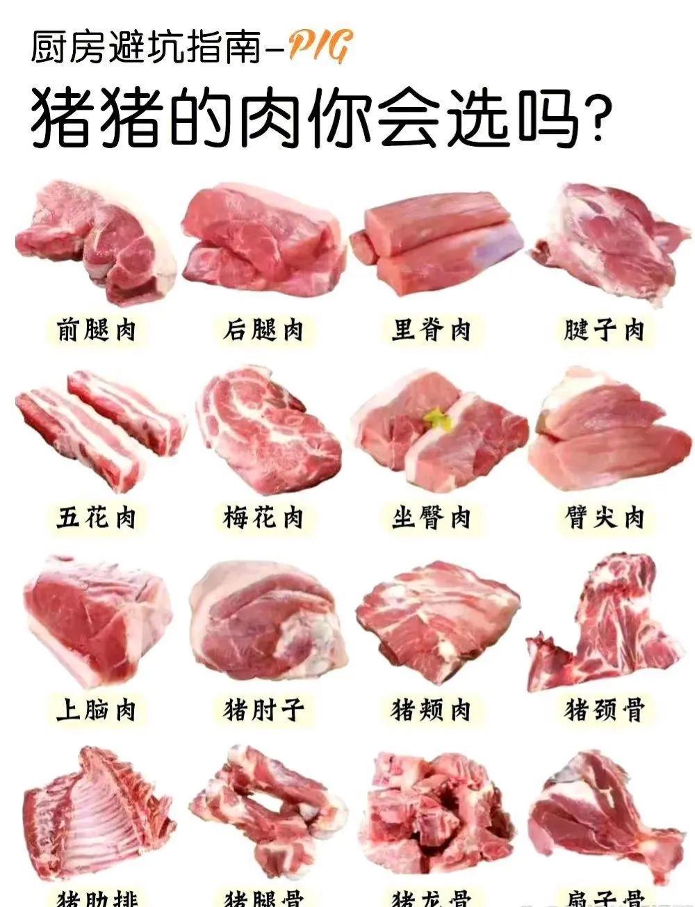 List of various types of pork. Pork classification, I suggest you ...