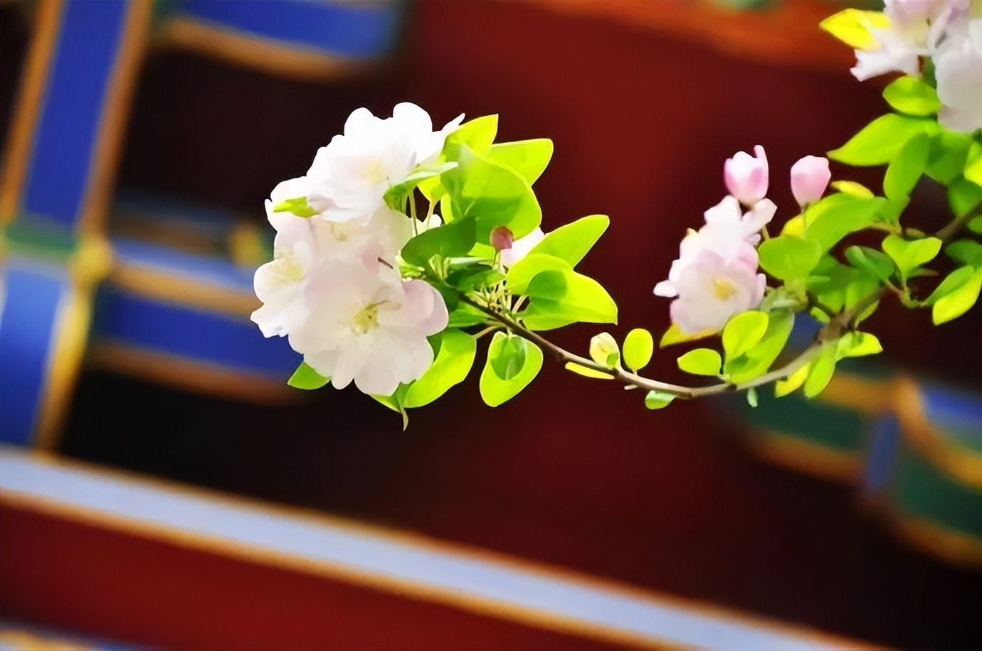 Master Hongyi's 25 classic quotations have awakened countless people ...