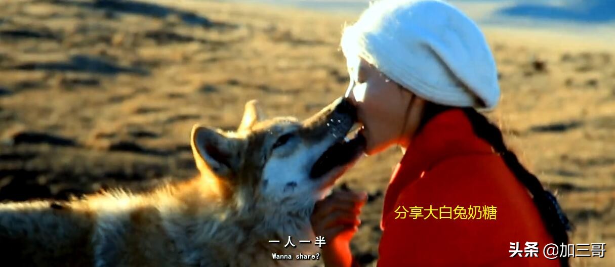 The legendary story "Return to the Wolves" is full of emotion. Is the ...