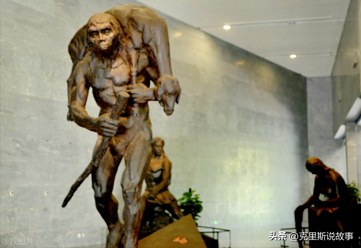 The Mystery of Human Origins: Exploring the Mysteries of Human ...