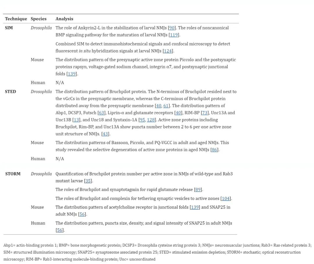 Super-resolution microscopy for analysis of neuromuscular junctions and ...