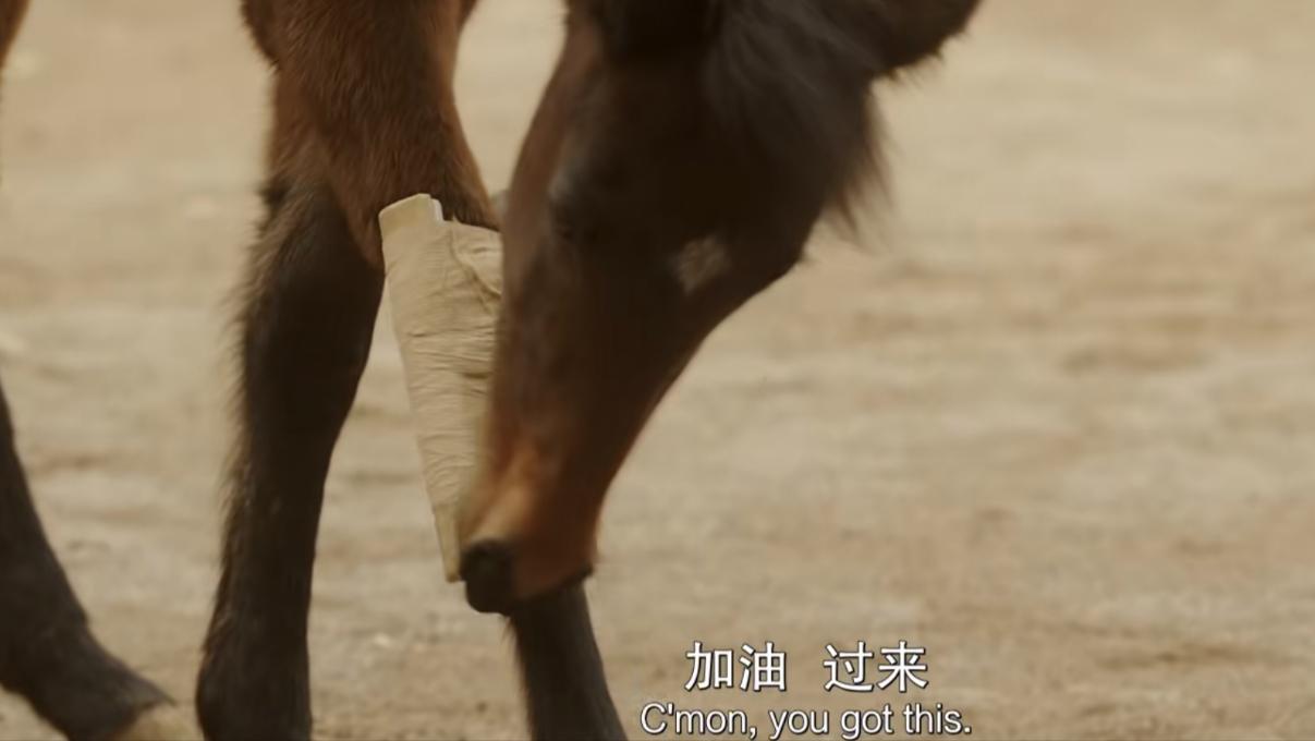 Uncle Long is "69 years old", will the spirit of Longma become his ...