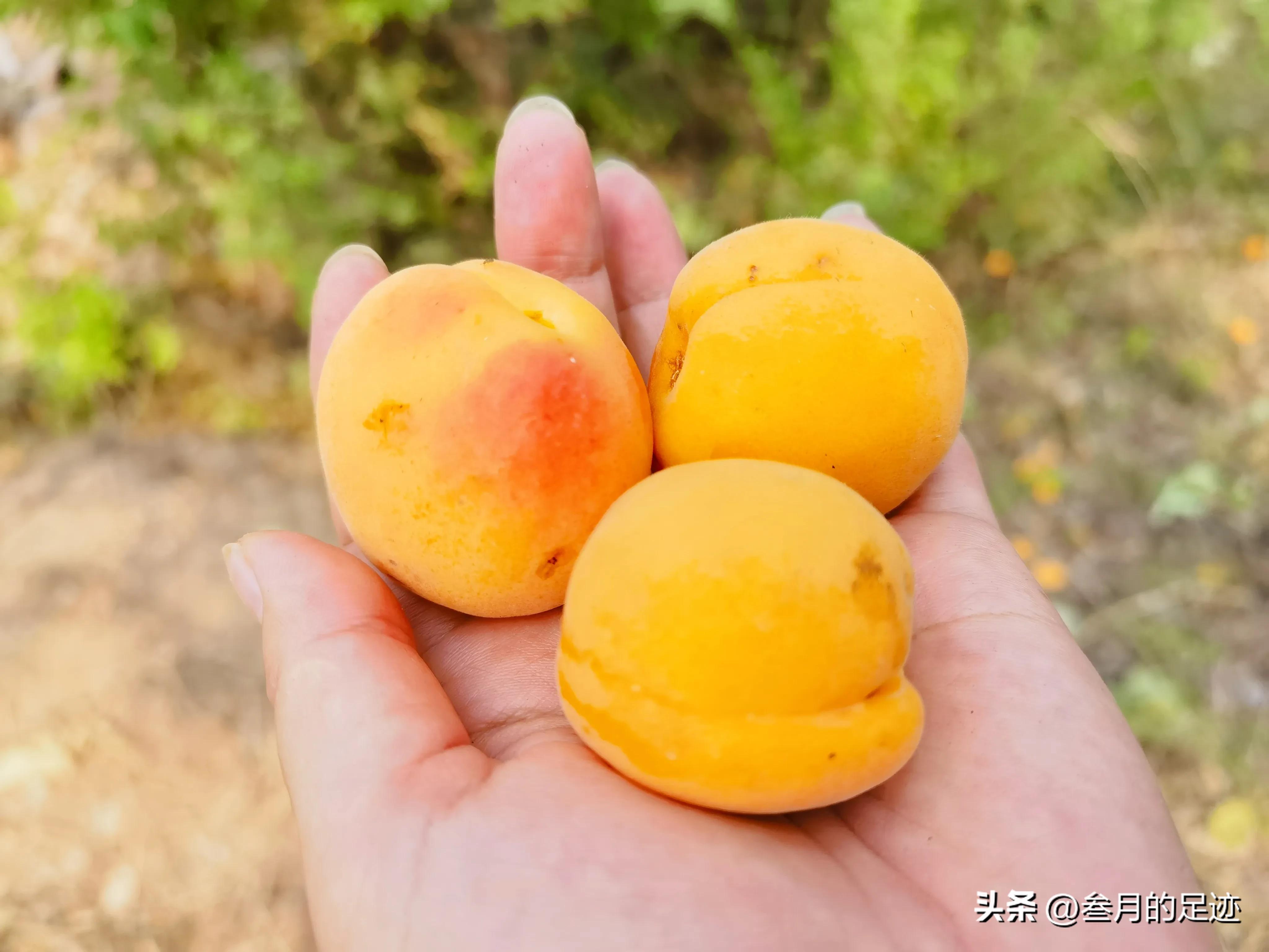 Mentougou, Beijing, the unique tiankeng spectacle in the capital, has a ...
