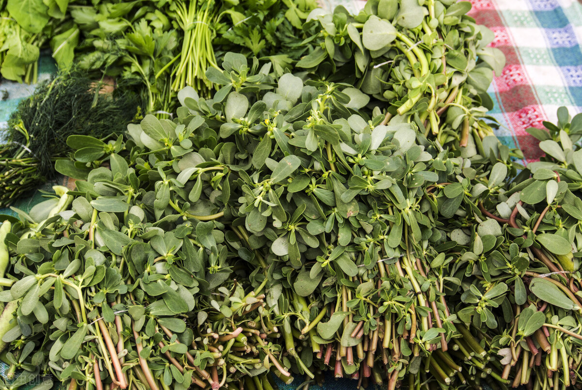 These kinds of wild vegetables are more delicious than many green ...