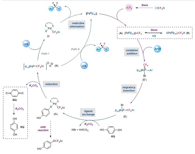 A New Coupling Mode of Difluorocarbene: Catalytic Reductive Coupling ...