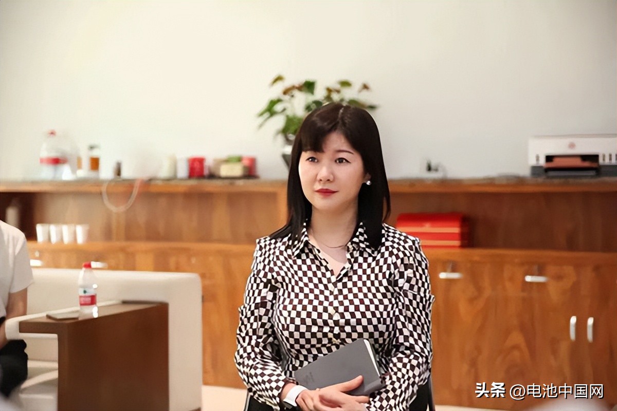 Wanxiang 123: Leading low-voltage/high-voltage/energy storage/F1 battery technology to achieve ...