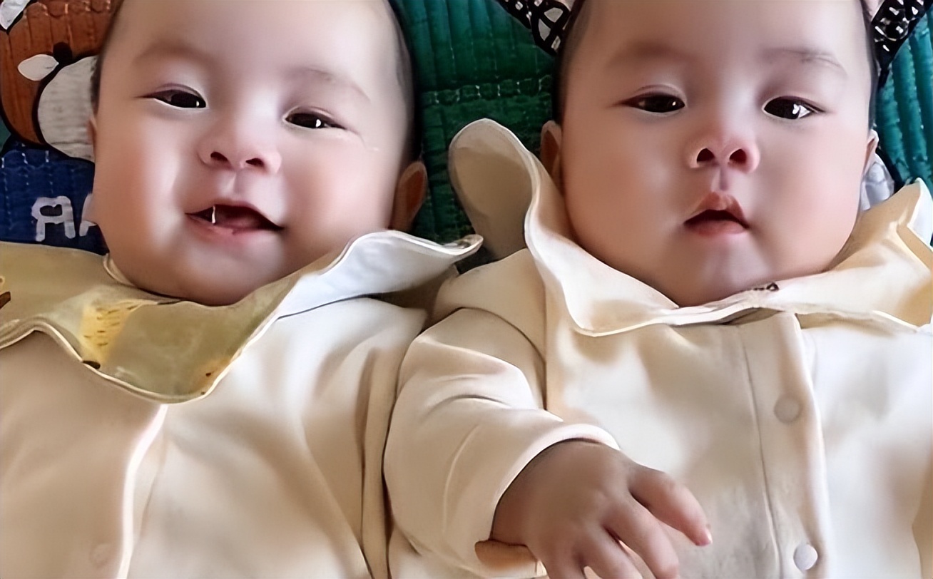 Chen Meng posted a video of the twins, confirming the rumors of ...