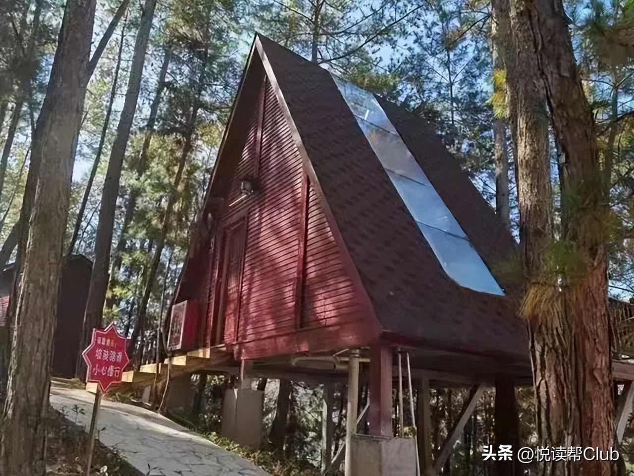 So beautiful!These "hidden" homestays in the forest in Anshun let you ...