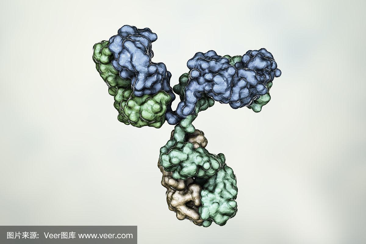 Universal protein models for efficient antibody evolution - iNEWS