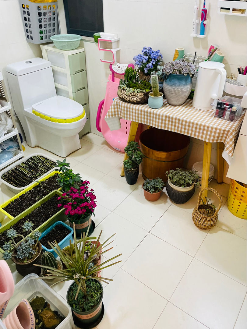 6 kinds of flowers are not afraid of stink, as soon as you put them in ...