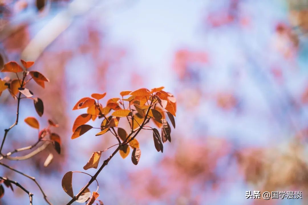 30 quiet, beautiful and leisurely autumn verses, enjoy the most ...