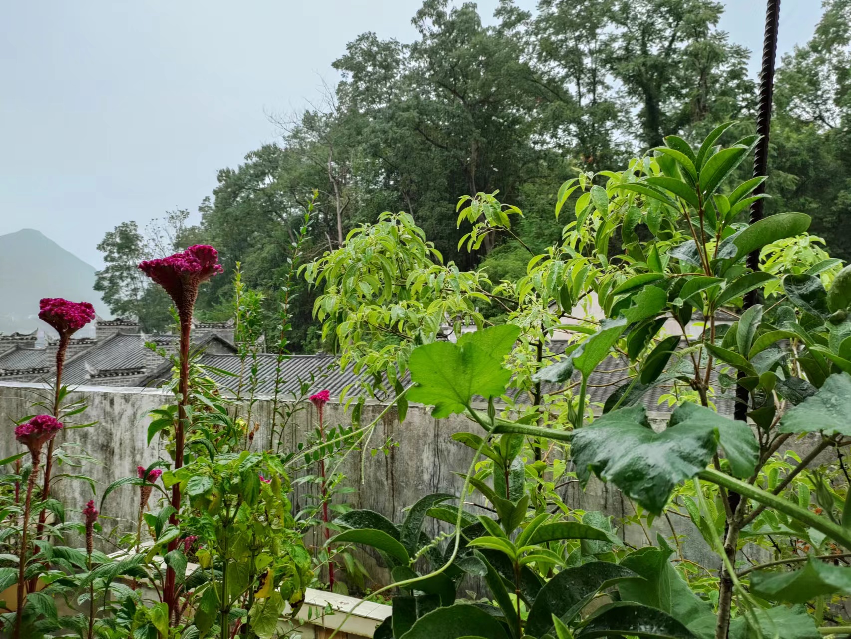 Seven unique autumn rains send congratulations - iNEWS