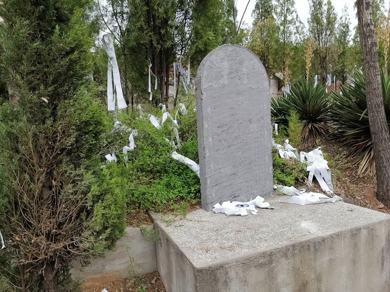"There is a hole in the grave, the descendants are poor, and the three ...