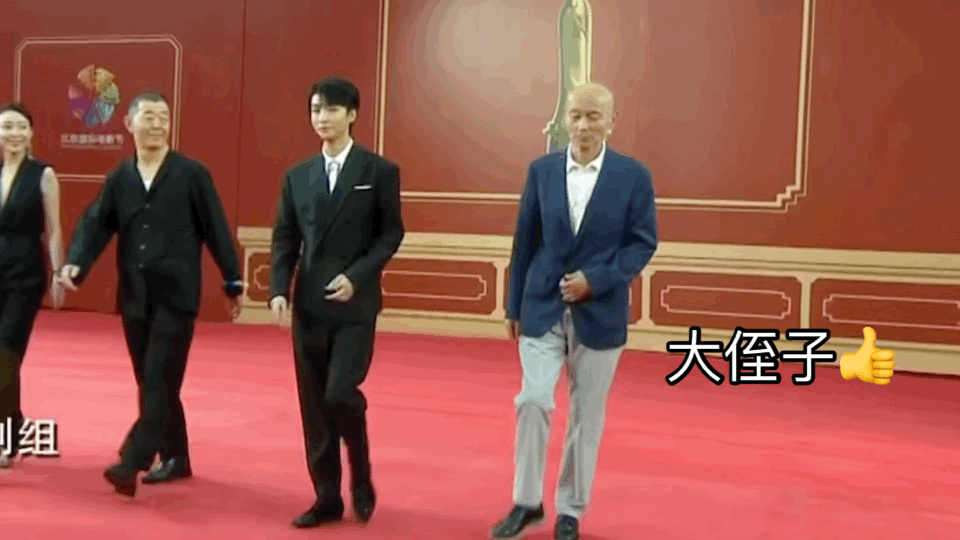 Wu Lei, Zhao Lusi, Yang Zi, Liu Xueyi, Xiao Zhan, Tang Yan, Faye Wong ...