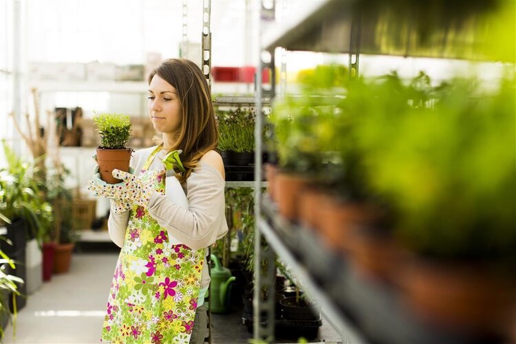 The Lancet: Planting vegetables and growing flowers may reduce the risk ...