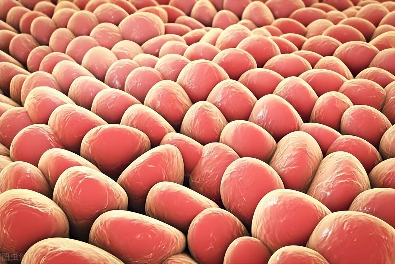 Reverse growth of cells: Can rejuvenation really be achieved? - iNEWS