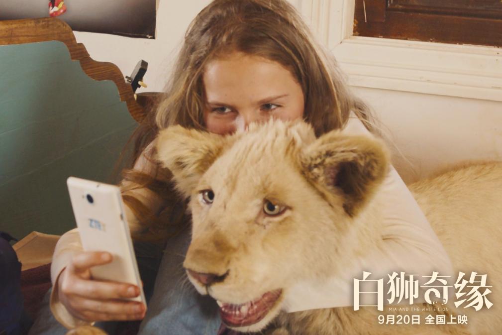 How does the relationship between the white lion and Cecil echo the ...