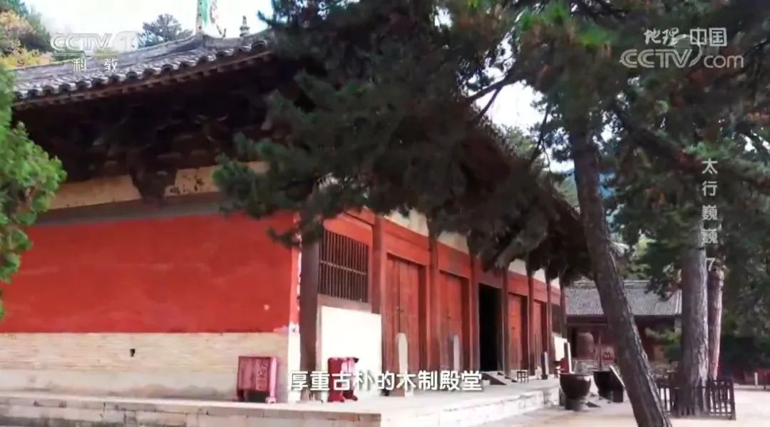 Tenon and tenon: the construction method without a single nail - iNEWS