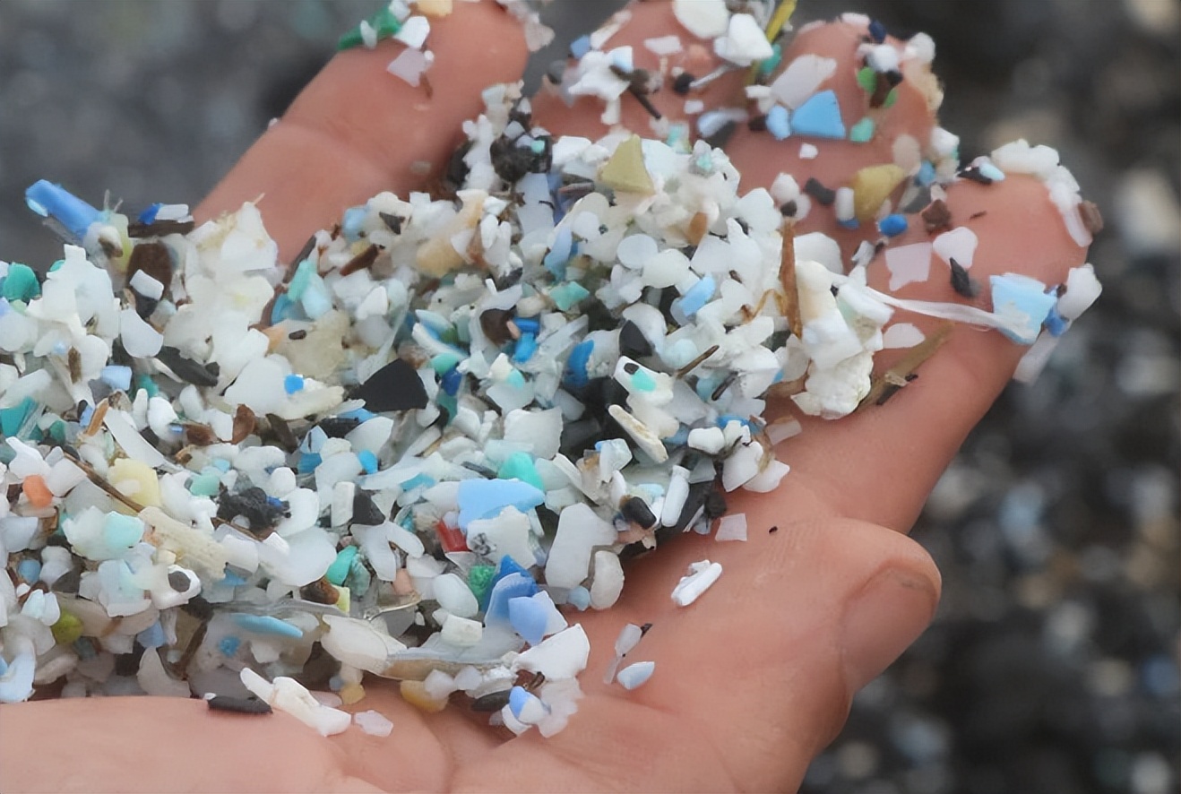 Effects of common types of microplastics on soil microbial communities ...