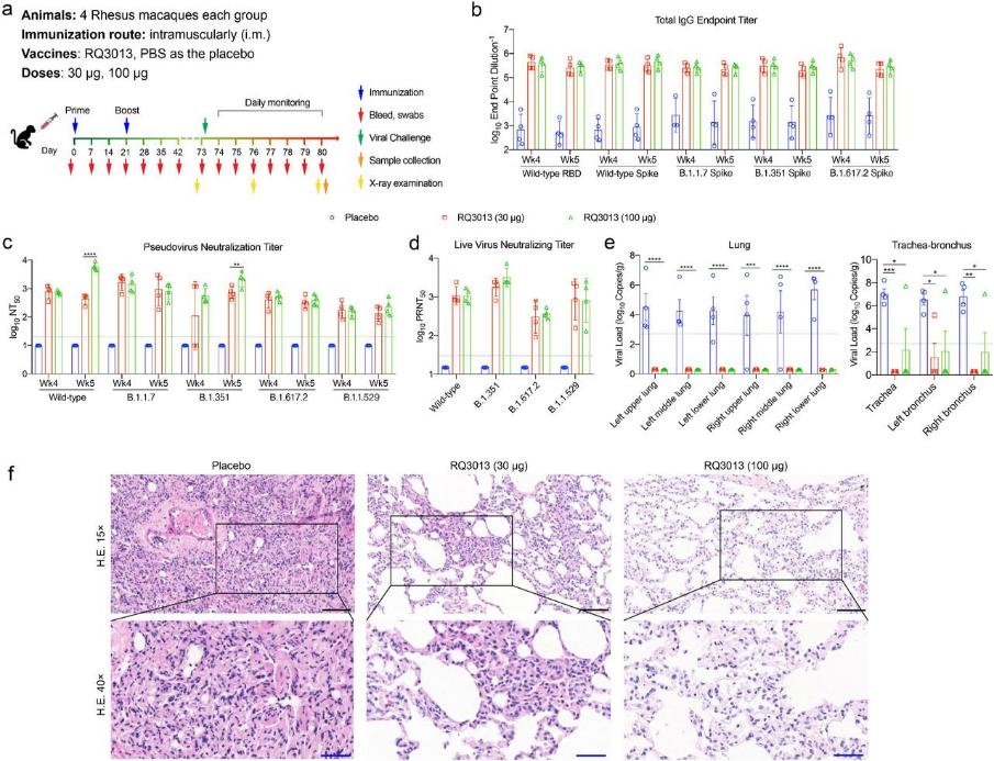 The clinical research of mRNA vaccine is continuously updated, and the ...