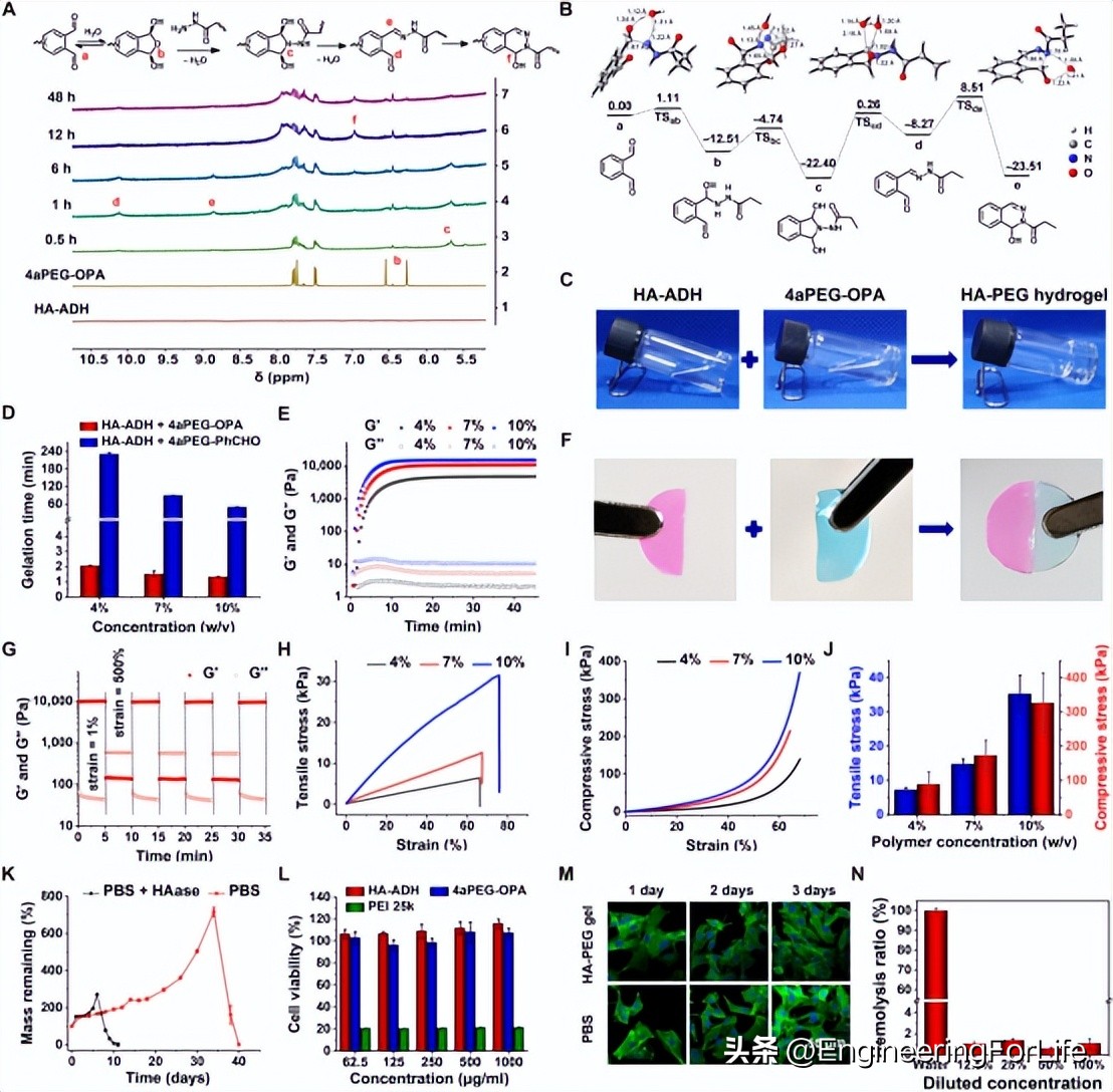 "Sci. Adv.": Injectable, self-healing hydrogel adhesive for seamless ...