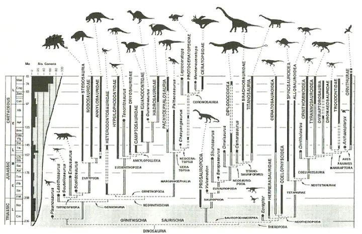 The theory of evolution that is constantly revised and hits walls ...