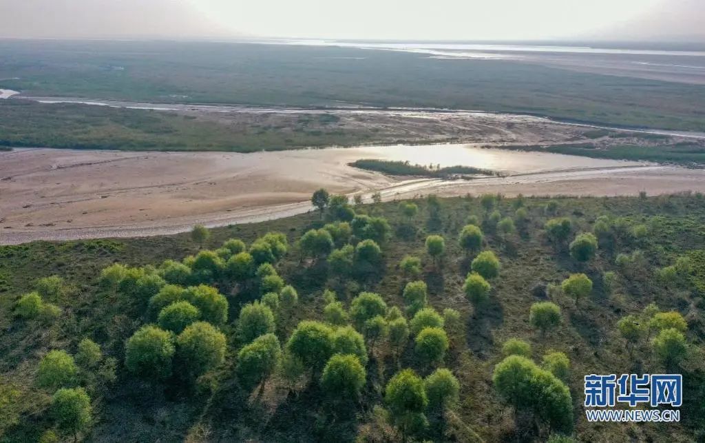 Qiachuan Yellow River Wetland Birds vividly paint a beautiful ...