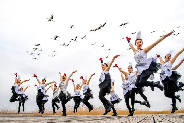 The Fable of Liezi: The Bird Dances and the Fish Leaps - iMedia