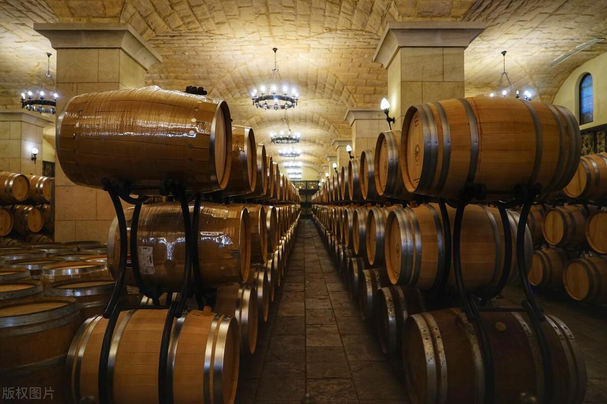 Danfeng plans to build 6 new high-standard wineries - iNEWS