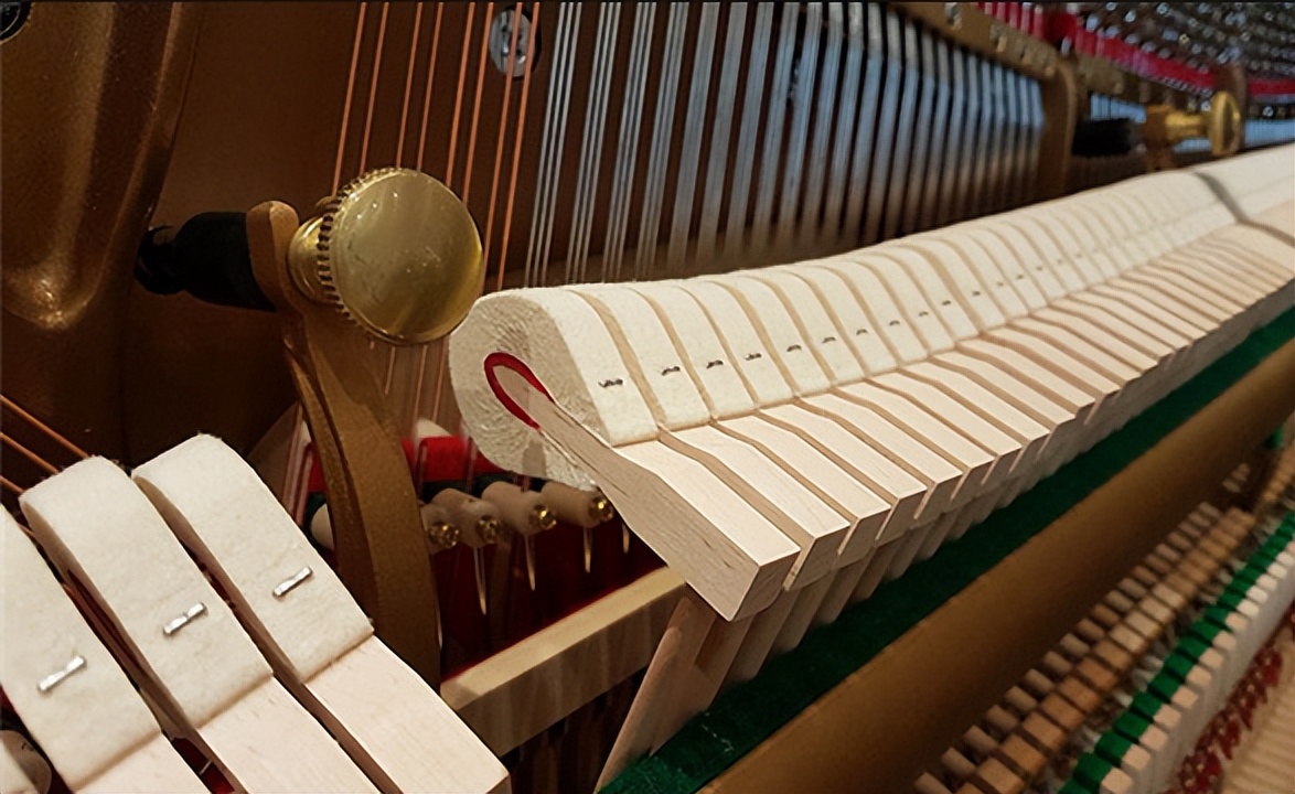 Beginner piano, should you choose an electric piano or a real piano ...