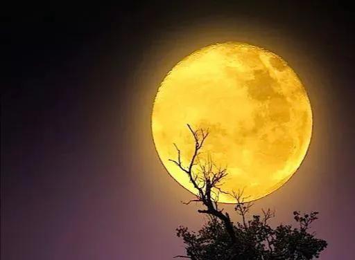 Folklore: Sun Ce was born - iNEWS