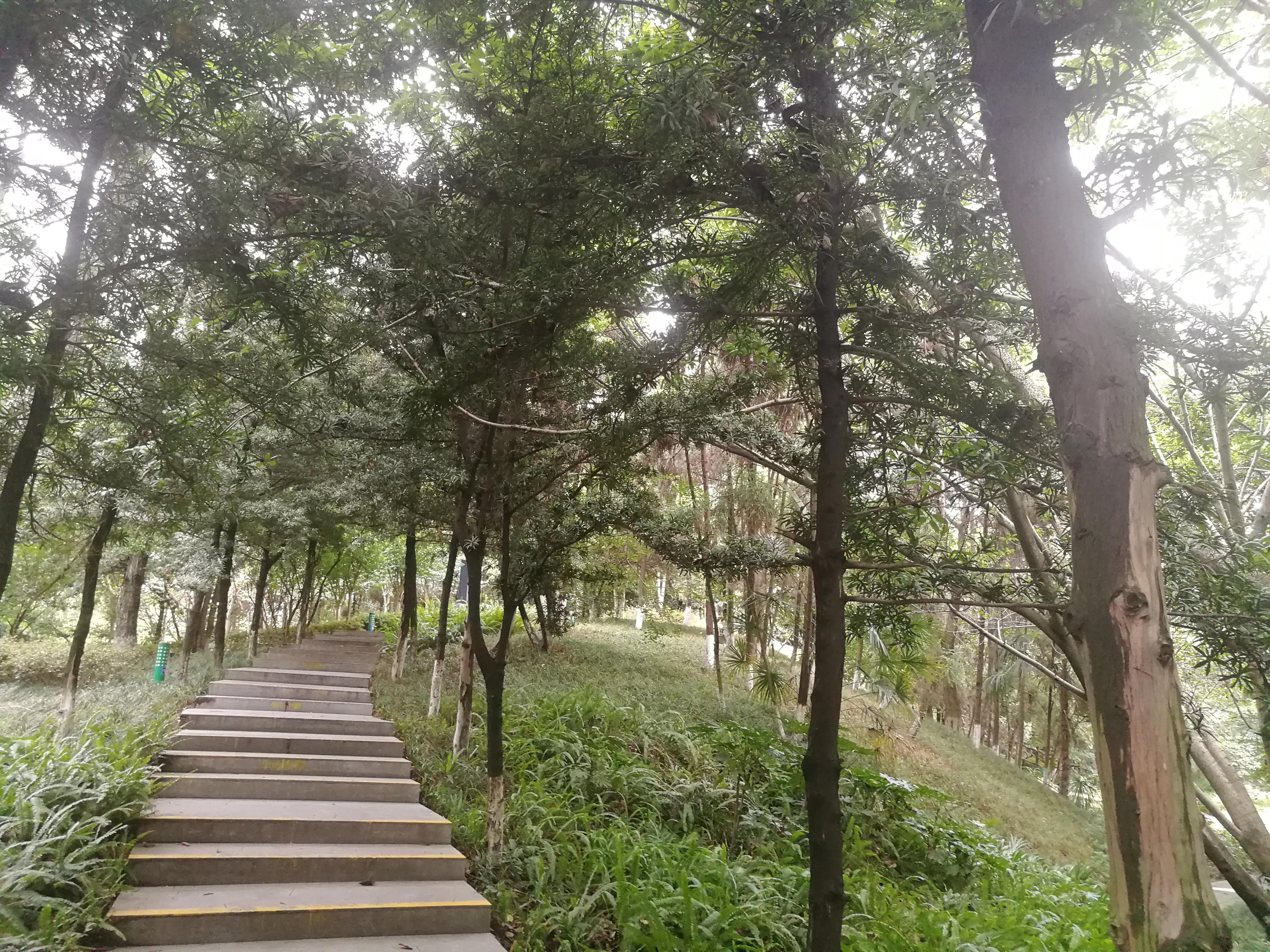 Qingbaijiang Yihuyuan Park is less crowded and beautiful - iNEWS