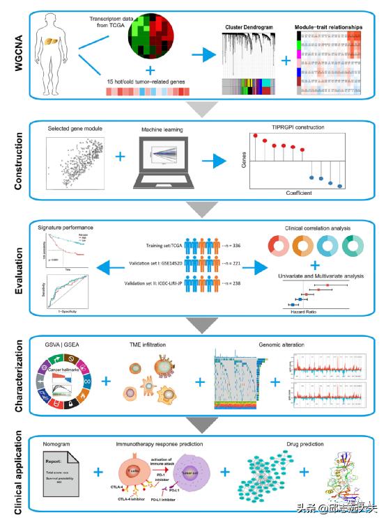 The simplest core gene does not know which application scenario to ...