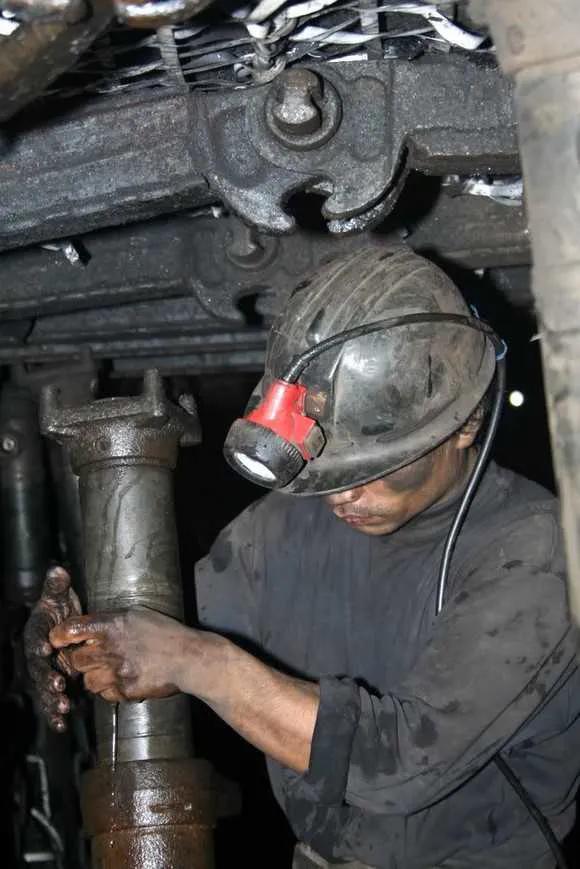 Some people actually like mice? - iNEWS