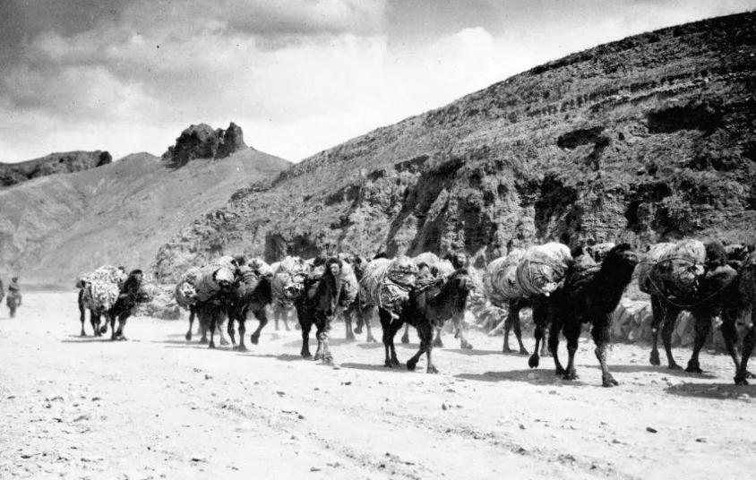 Was the Opium War a Tea War?How China lost the throne of the largest ...