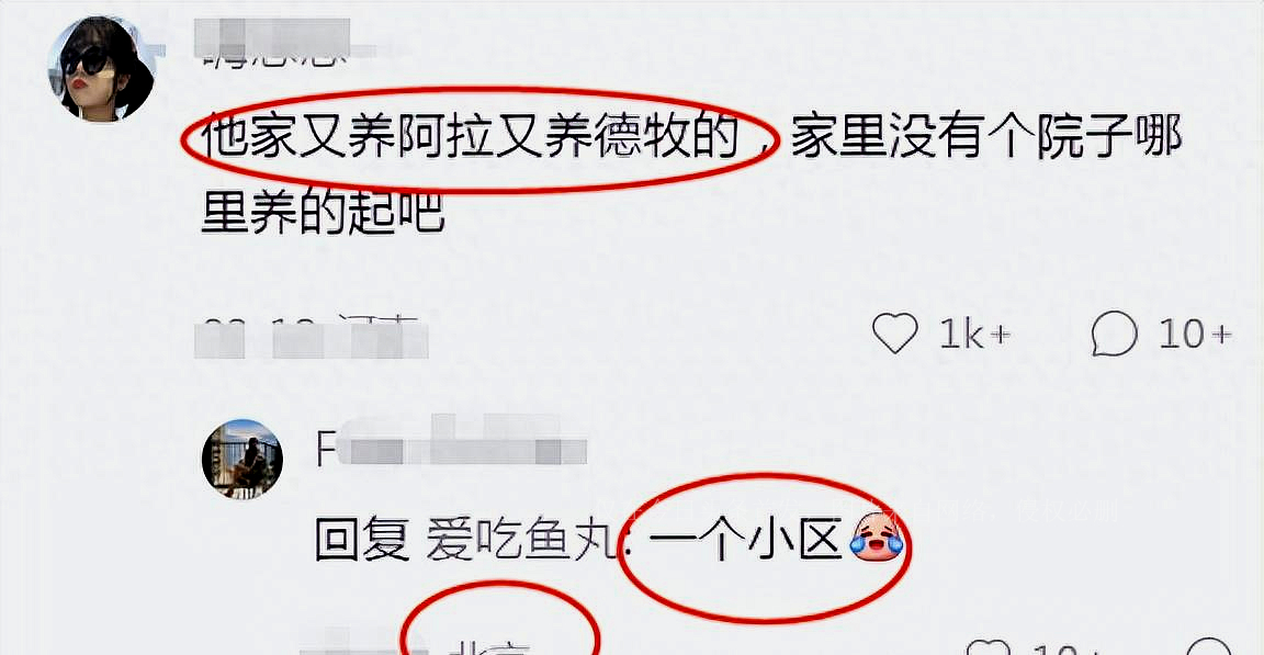 Su Xiaoding's Beijing mansion is popular. The piano is worth 260,000 yuan. Her father is at the ...