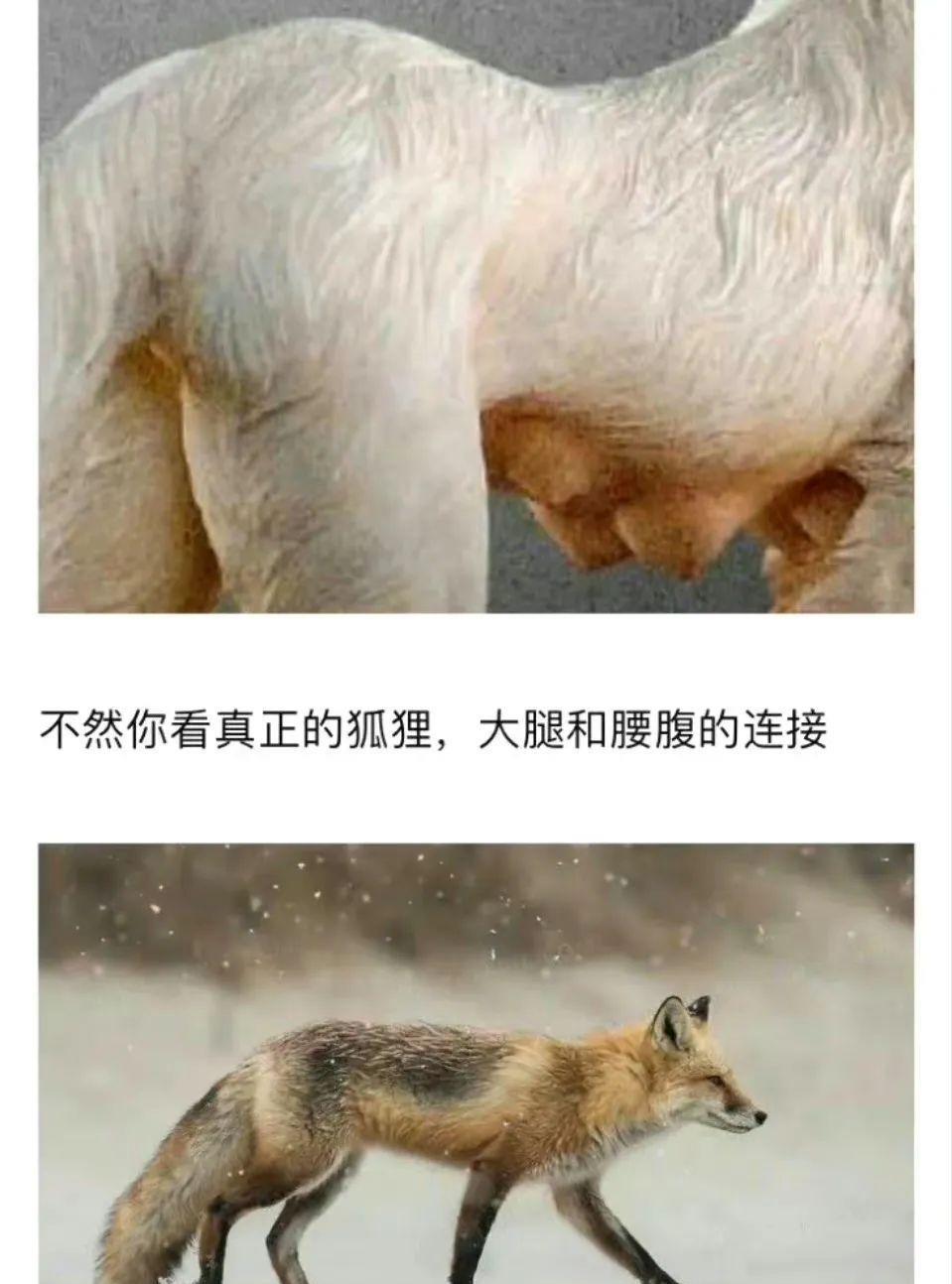 The poster of "Fengshen" was scolded! The nine-tailed fox painted human ...